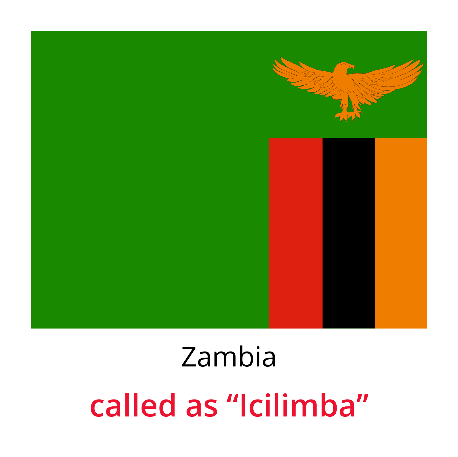 Chits And Its Best Globally-You Must To Know About Chits